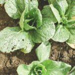 Nos produits - EDMARK ACTION